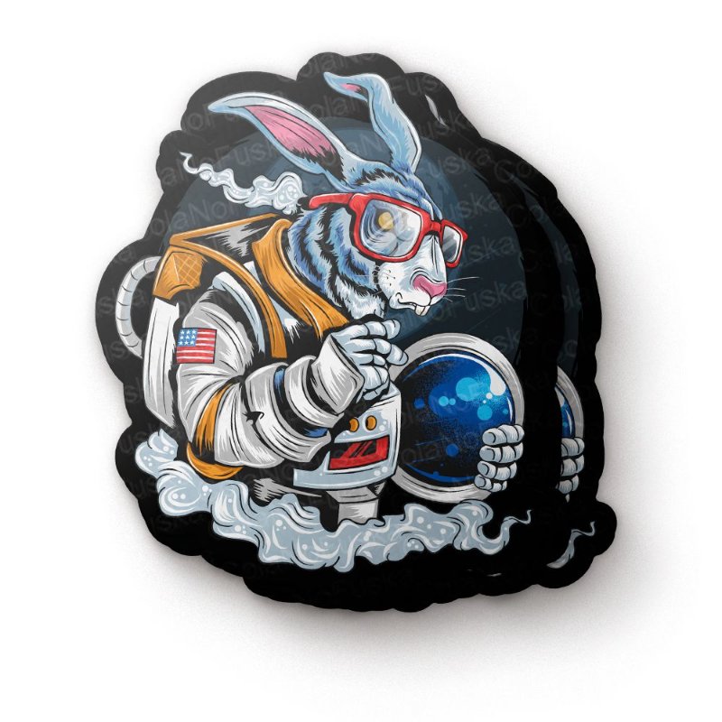 Astro Rabbit – Original Sticker